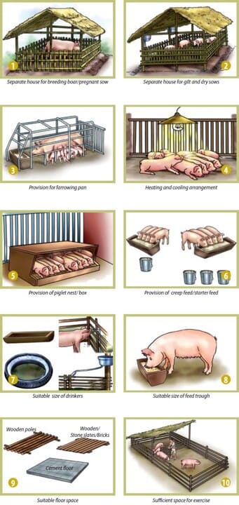 How to Farm Pigs - Housing | The Pig Site